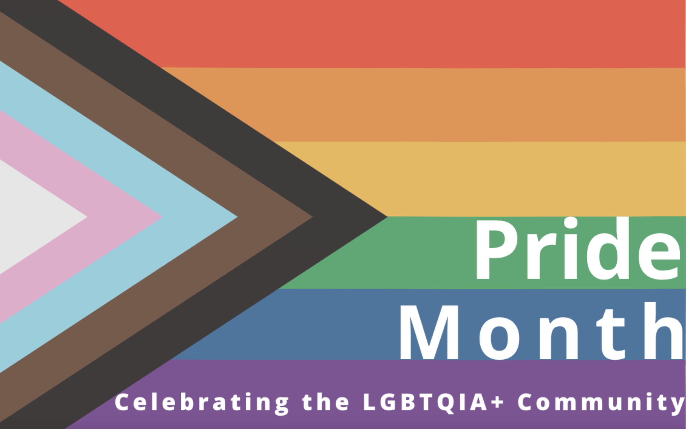 Meet Our Fellows: Vincent Micone - National Academy of Public ...